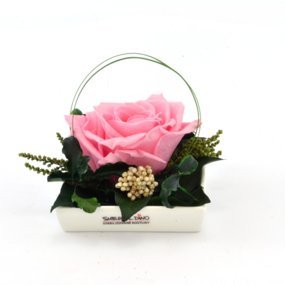 Smeraldino örök rózsák