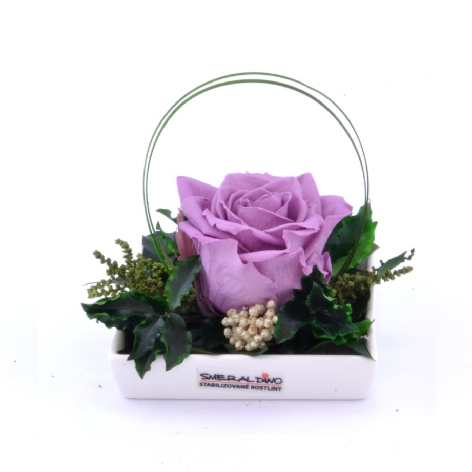 Smeraldino örök rózsák