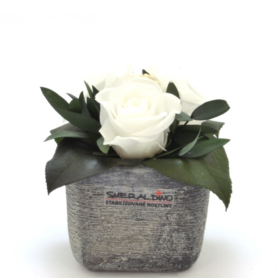 Smeraldino örök rózsák