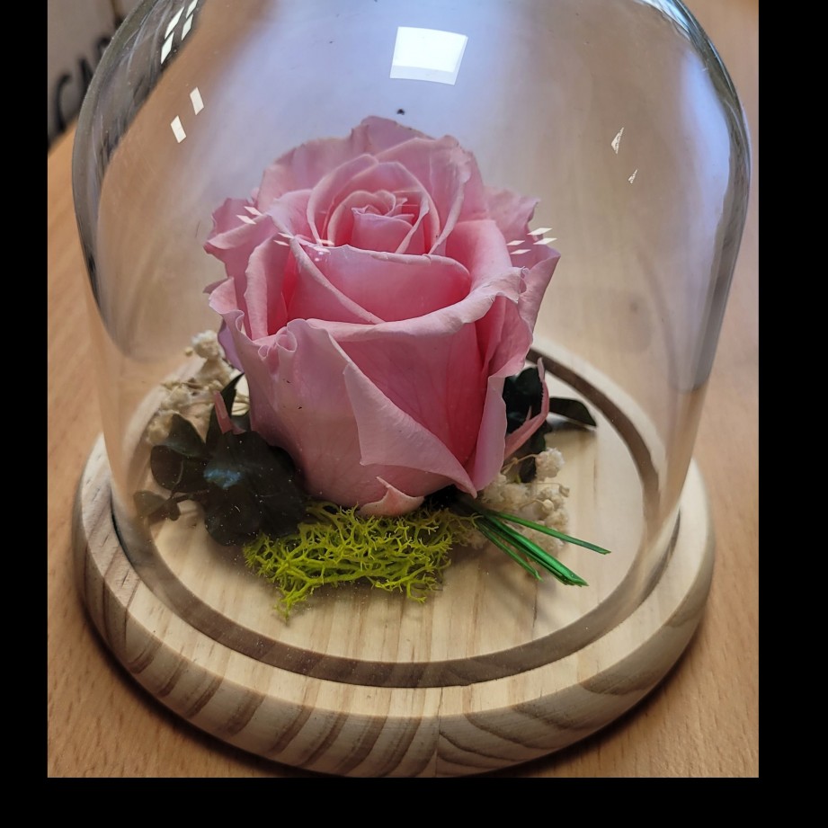 Smeraldino örök rózsák