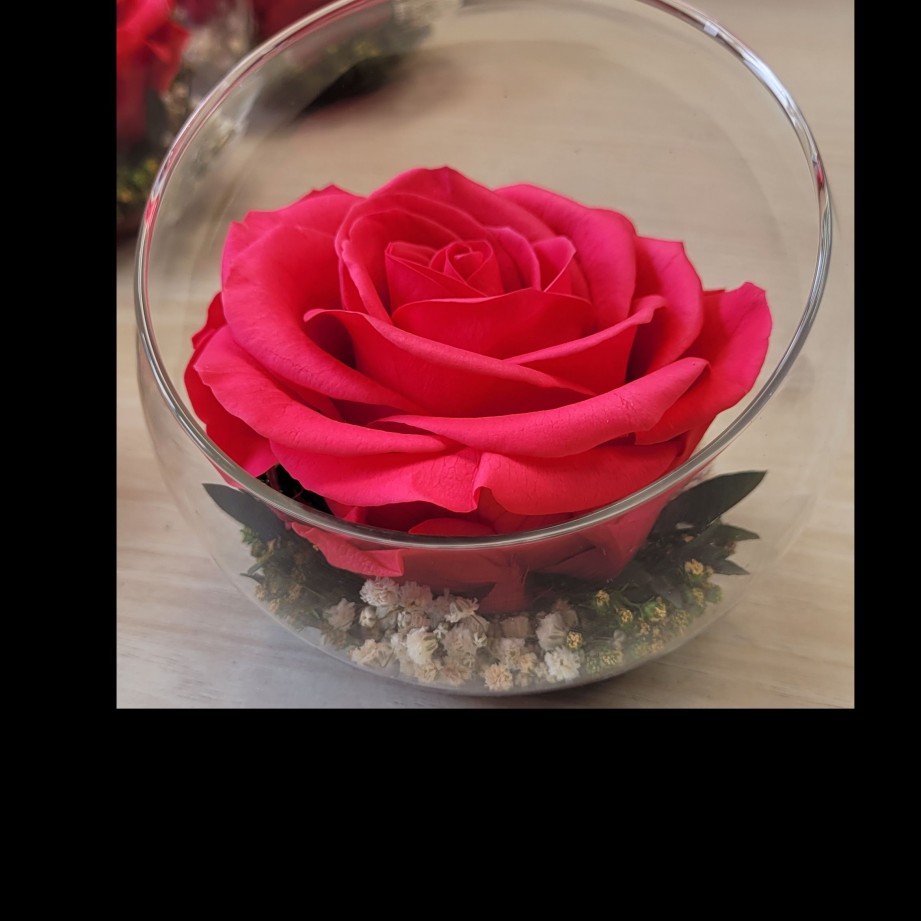 Smeraldino örök rózsák